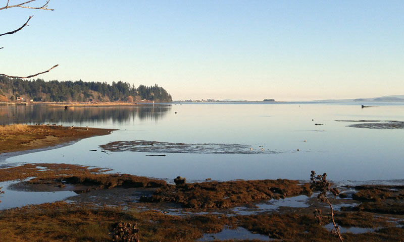 Davidya.ca – Explorations of Life and Enlightenment